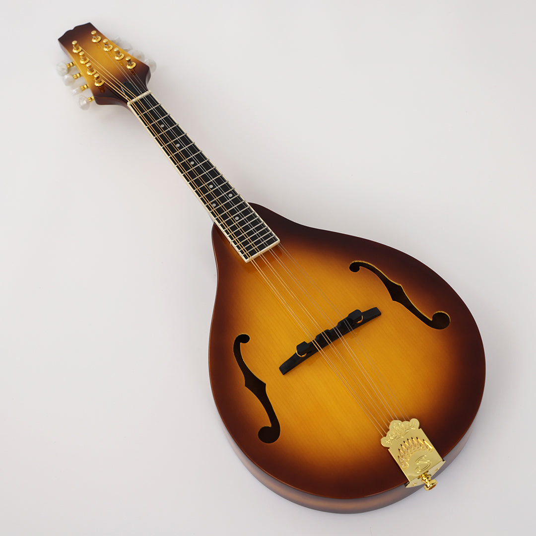 All Solid Wood A-Style Mandolin (PMA-011, Shanghai Music Show Sample ...