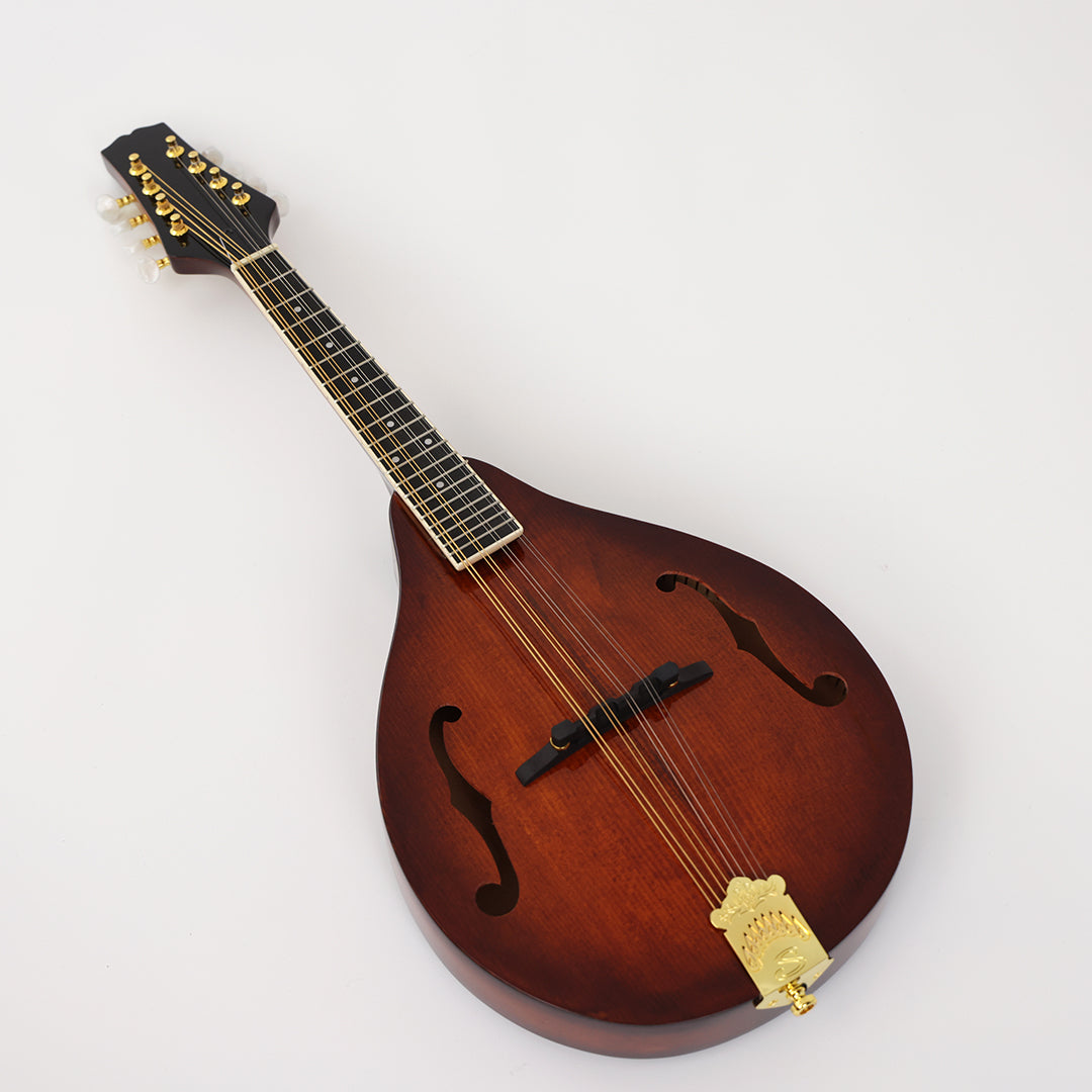 All Solid Wood A Mandolin (PMA-012, Shanghai Music Show Sample ...