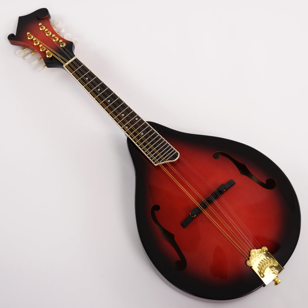 All Solid Wood A-Style Mandolin (PMA-018S, Shanghai Music Show Sample ...