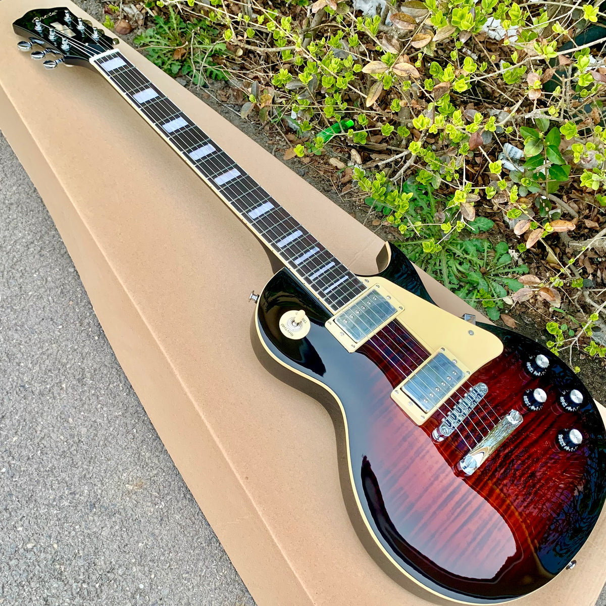 PANGO Music LP Style Electric Guitar with Flamed Maple Top (YMZ-221 ...