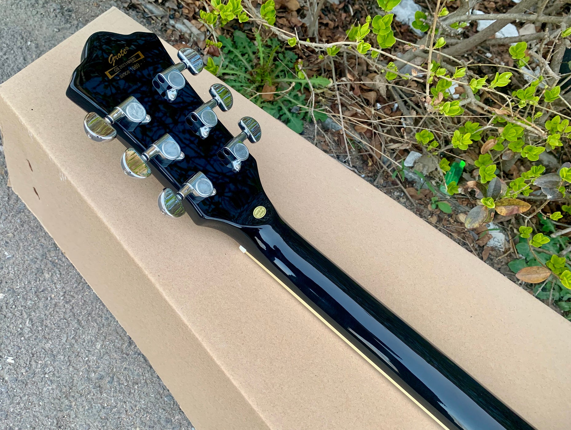 PANGO Music LP Style Electric Guitar with Flamed Maple Top (YMZ-221 ...