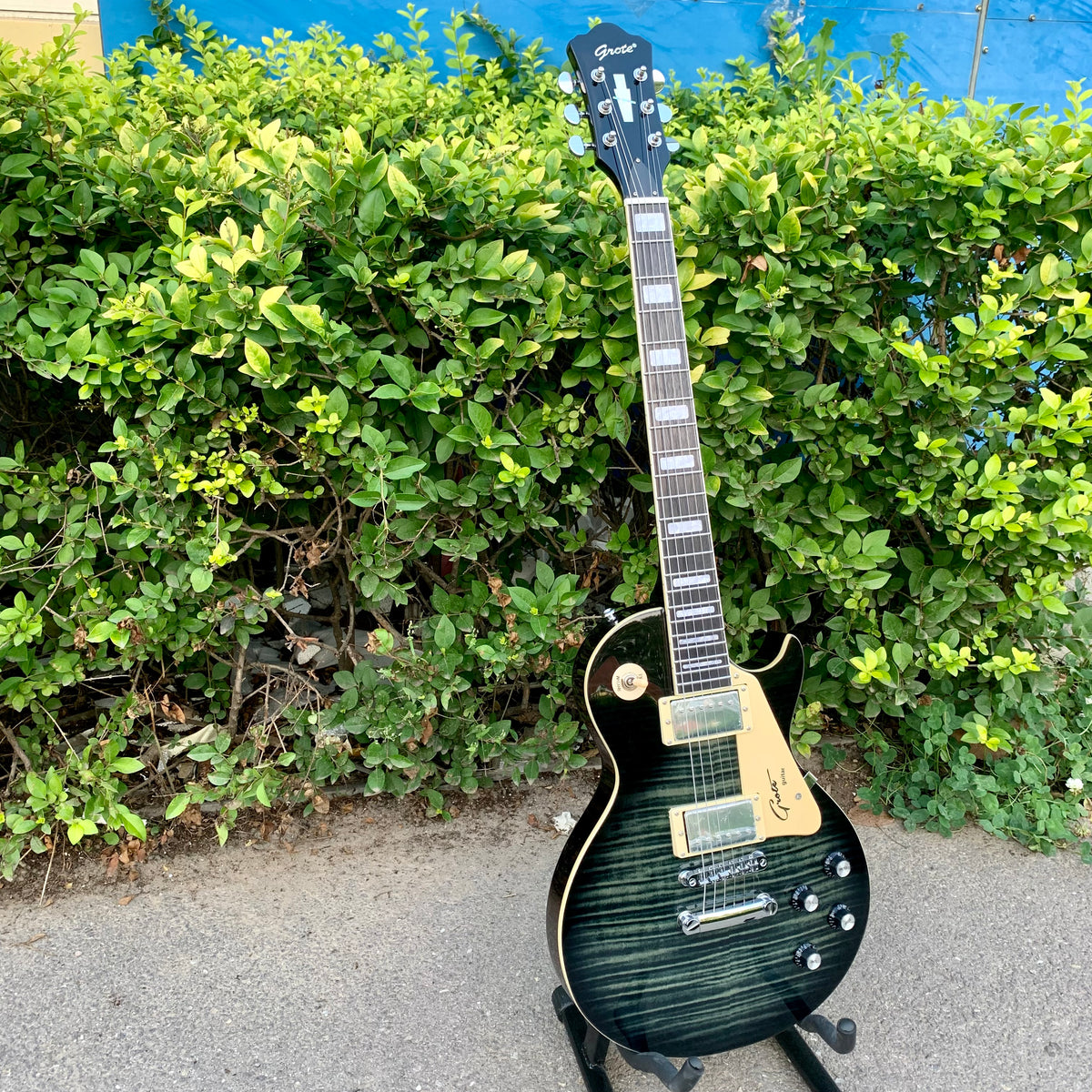 PANGO Music LP Style Electric Guitar with Flamed Maple Top (YMZ-226 ...