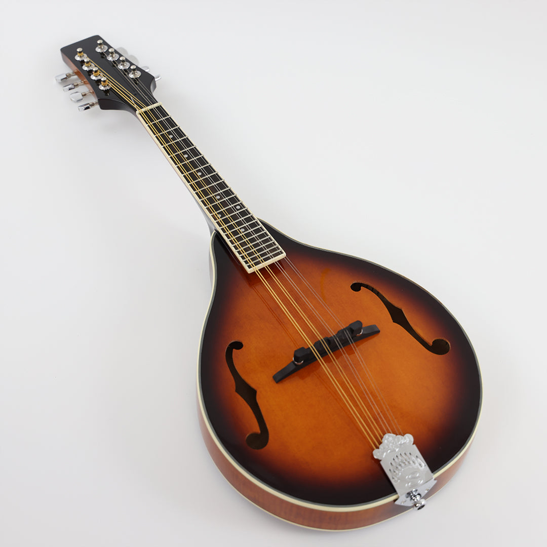 Solid Spruce Top A-Style Mandolin (PMA-006, Shanghai Music Show Sample ...